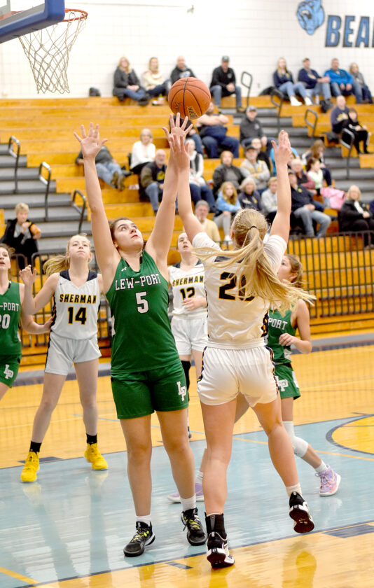 Frewsburg, Lewiston-Porter To Meet For Tournament Title | News, Sports ...